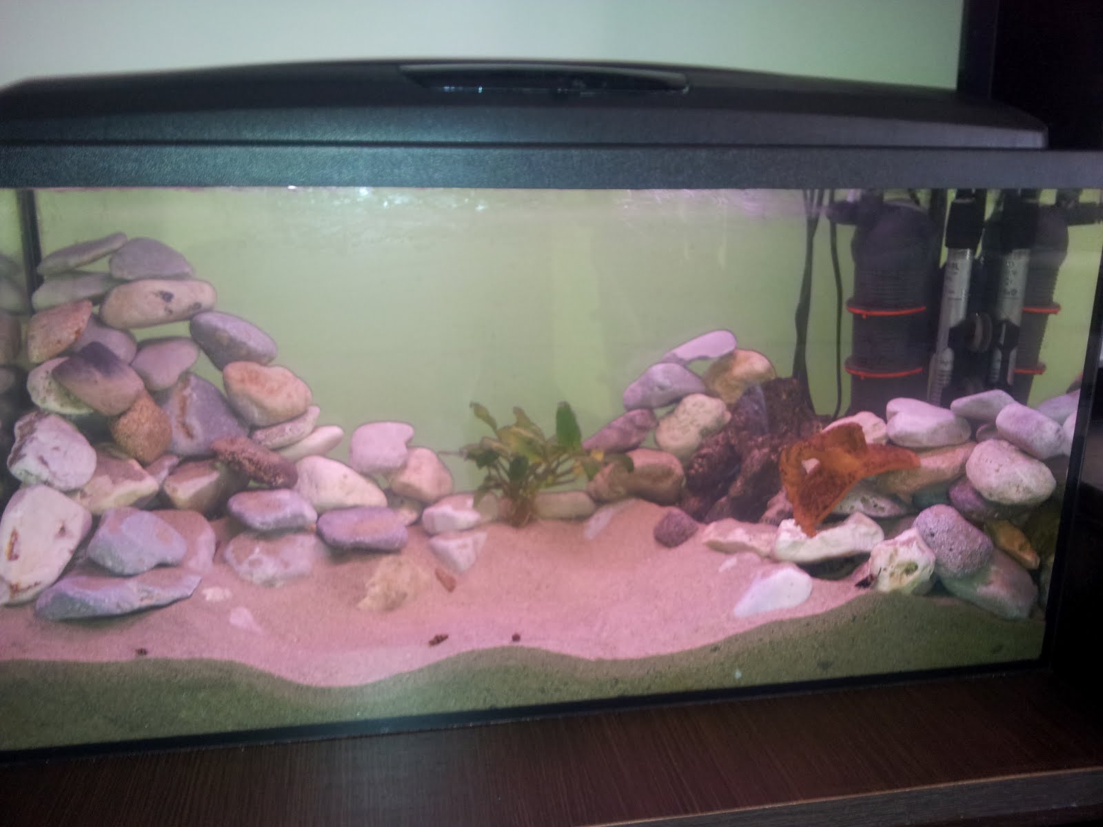 Aquarium