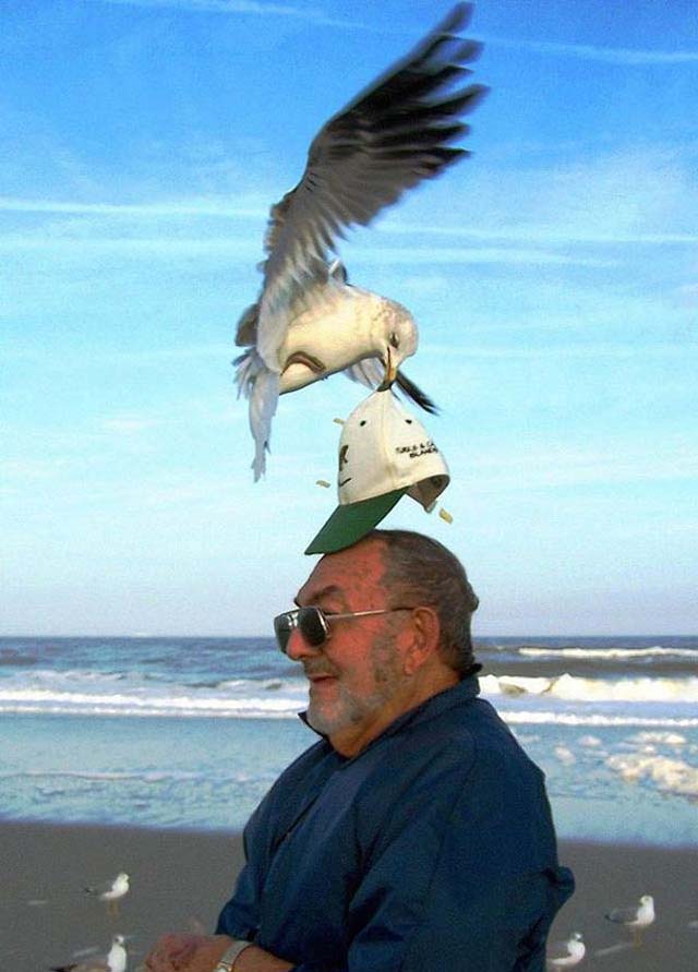 23 Awkward And Embarrassing Beach Photos.