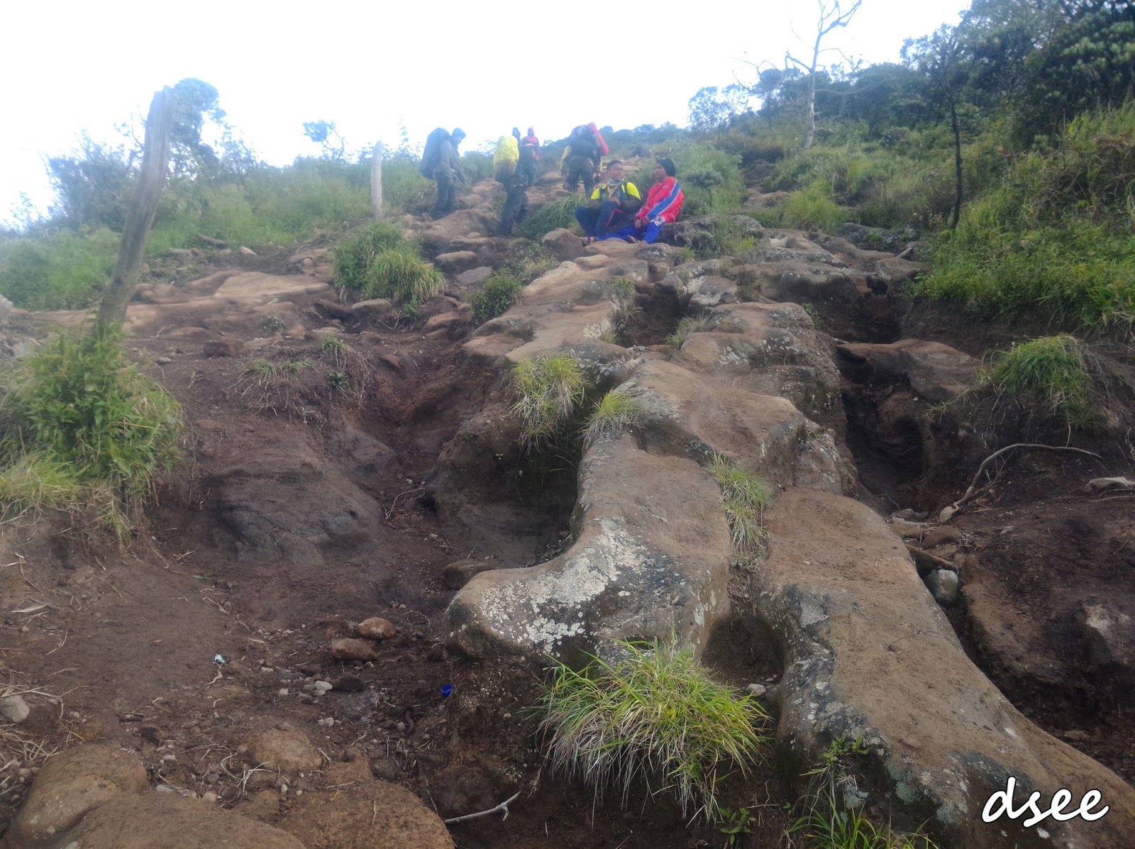 Pendakian Gunung Ciremai via Apuy (Jalur Ciremai paling pendek yang ...