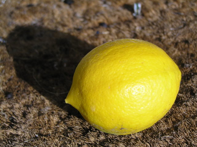 robertguyton: My first lemon
