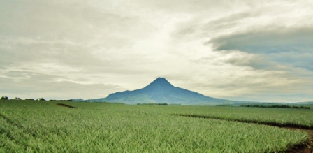 Journeying Pinay: Polomolok, South Cotabato