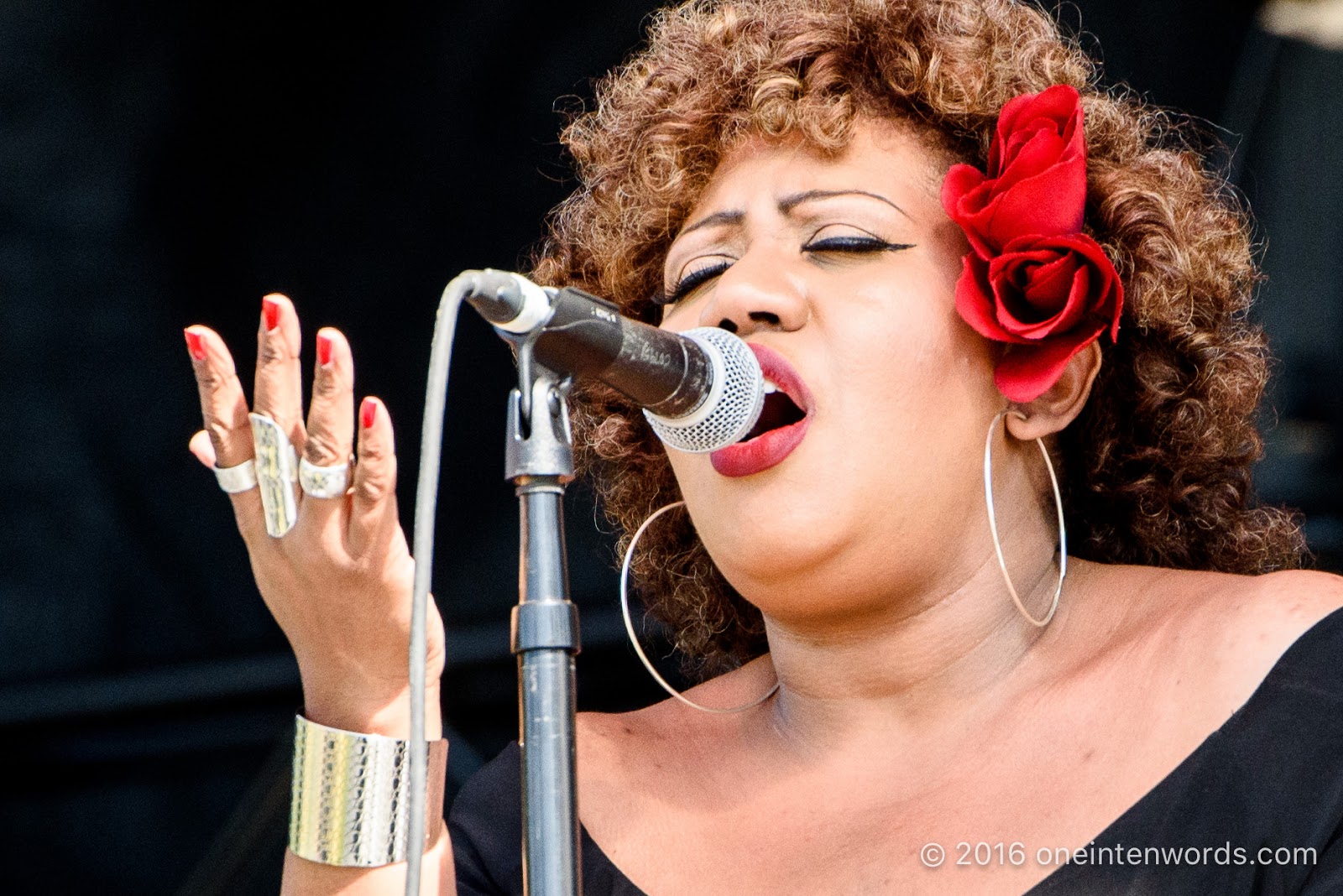 one in ten words: TURF 2016: Fort York Day 1: Simone Denny - Concert ...