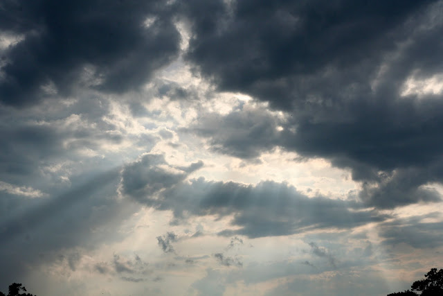 Room Without Walls: Change in the Weather