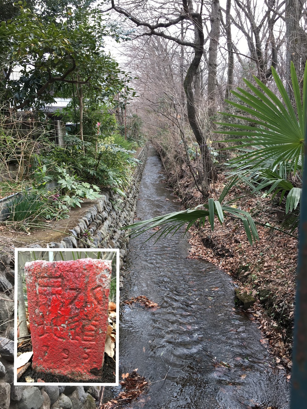 Water, water everywhere...