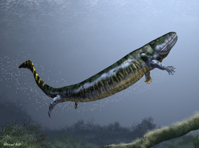 Blog de la Vida Prehistórica: Eogyrinus