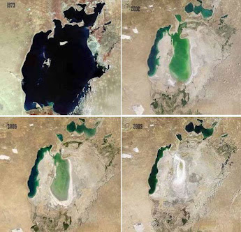 Ciències ESO: Biologia i Geologia 1r ESO