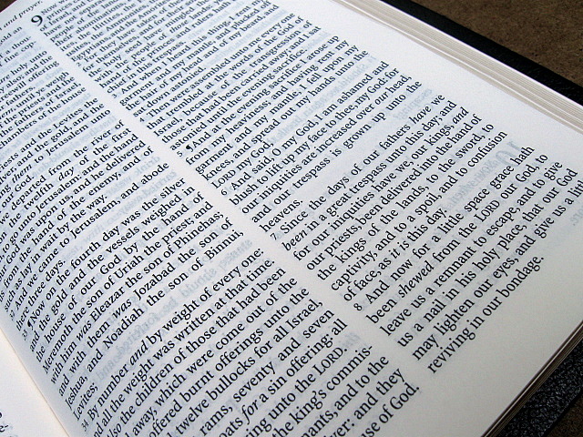 Dear Lissy: The Changing Challenge Of Choosing A Bible