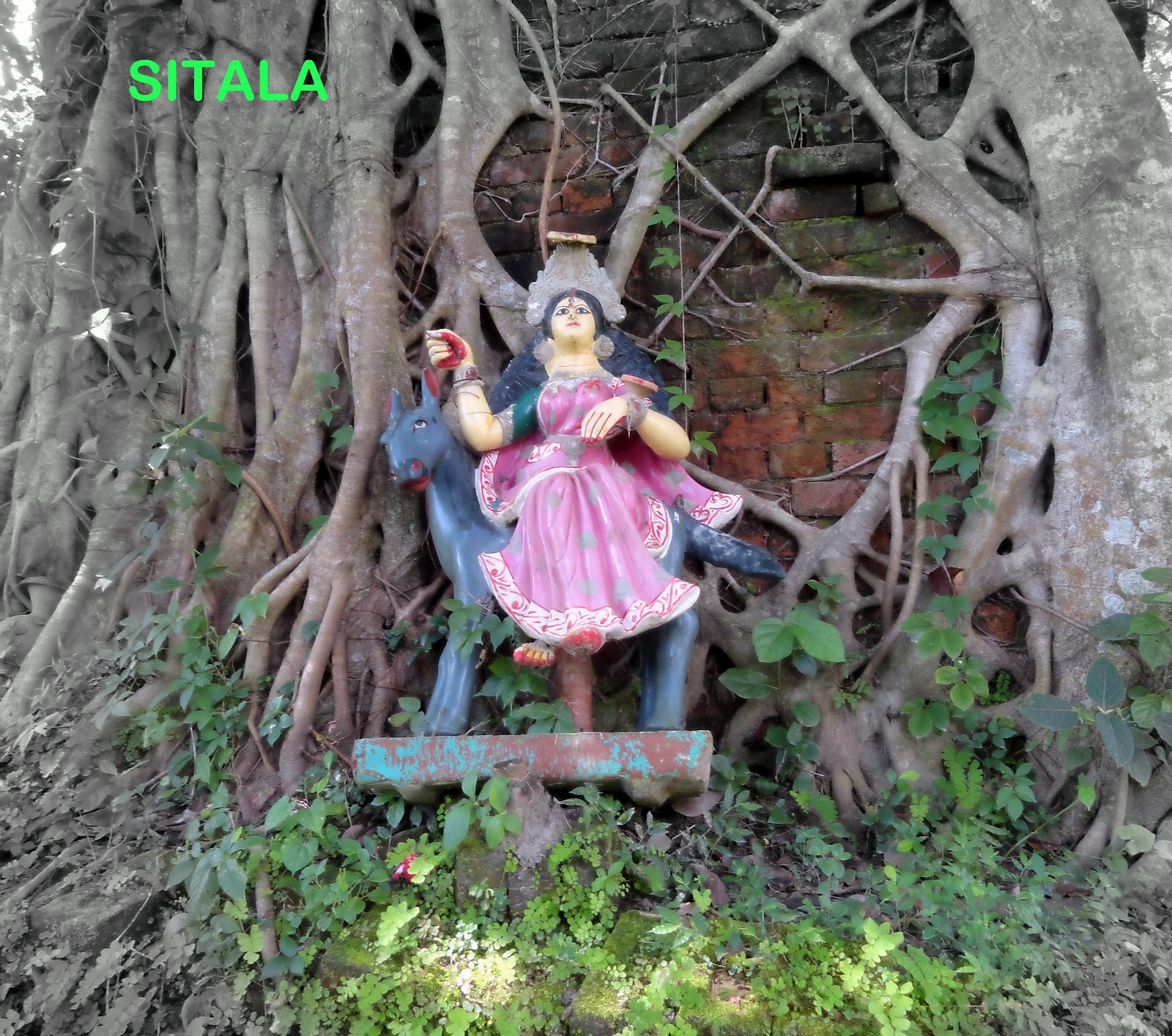 GANGARIDAI:KINGDOM OF THE LEGEND.