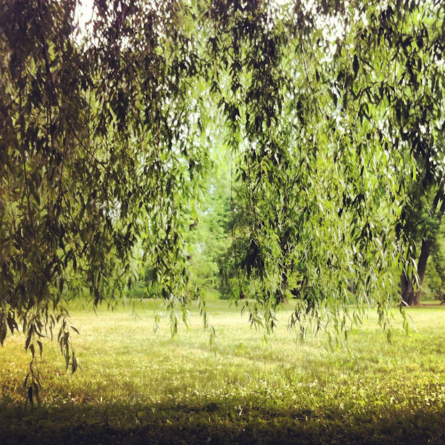 lumière pure: artist date: morton arboretum