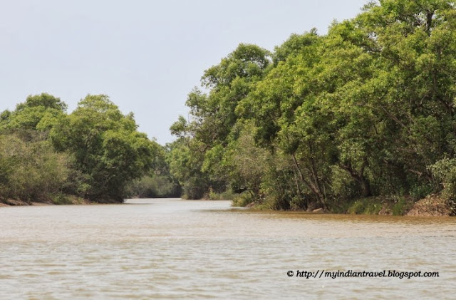 My India Travel: Bhitarkanika National Park