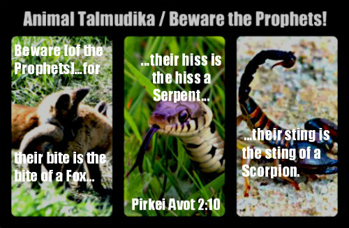 The Talmud: Animal Talmudika / Watch out for the Bite, the Sting, and ...