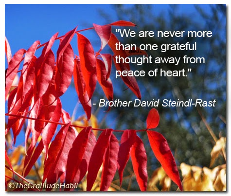 The Gratitude Habit Journal: Gratitude Quote - Steindl-Rast