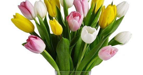 Belajar Membuat Rangkaian Bunga Tulip dengan Vas - AGUSTINA FLORIST ...