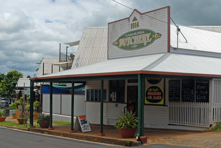 A Snail's Eye View: February 2012