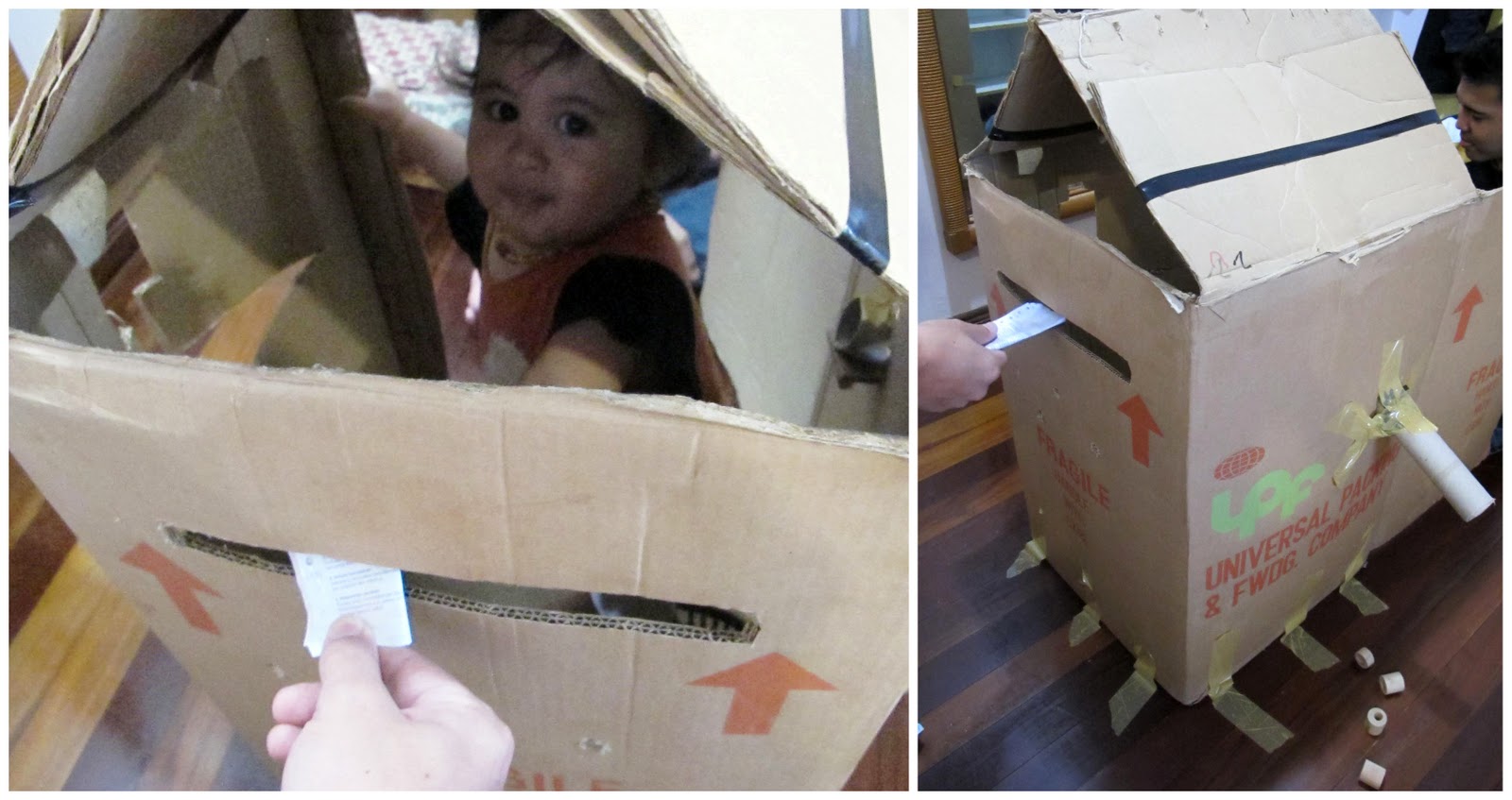 Rabbit The Penguin: Living in a cardboard Box