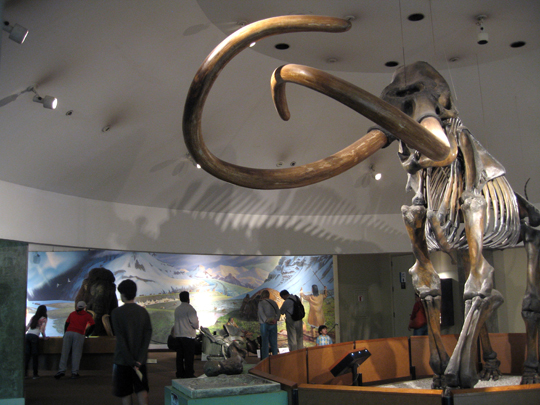 The Intrepid Tourist: The La Brea Tar Pits: A Treasure Trove of Ice Age ...