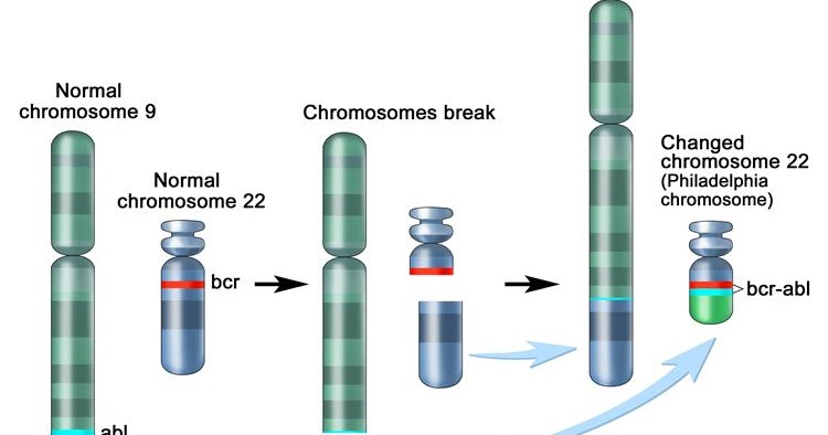 Biochemistry Class notes: BCR/ABL1 Testing: Introduction, indications ...