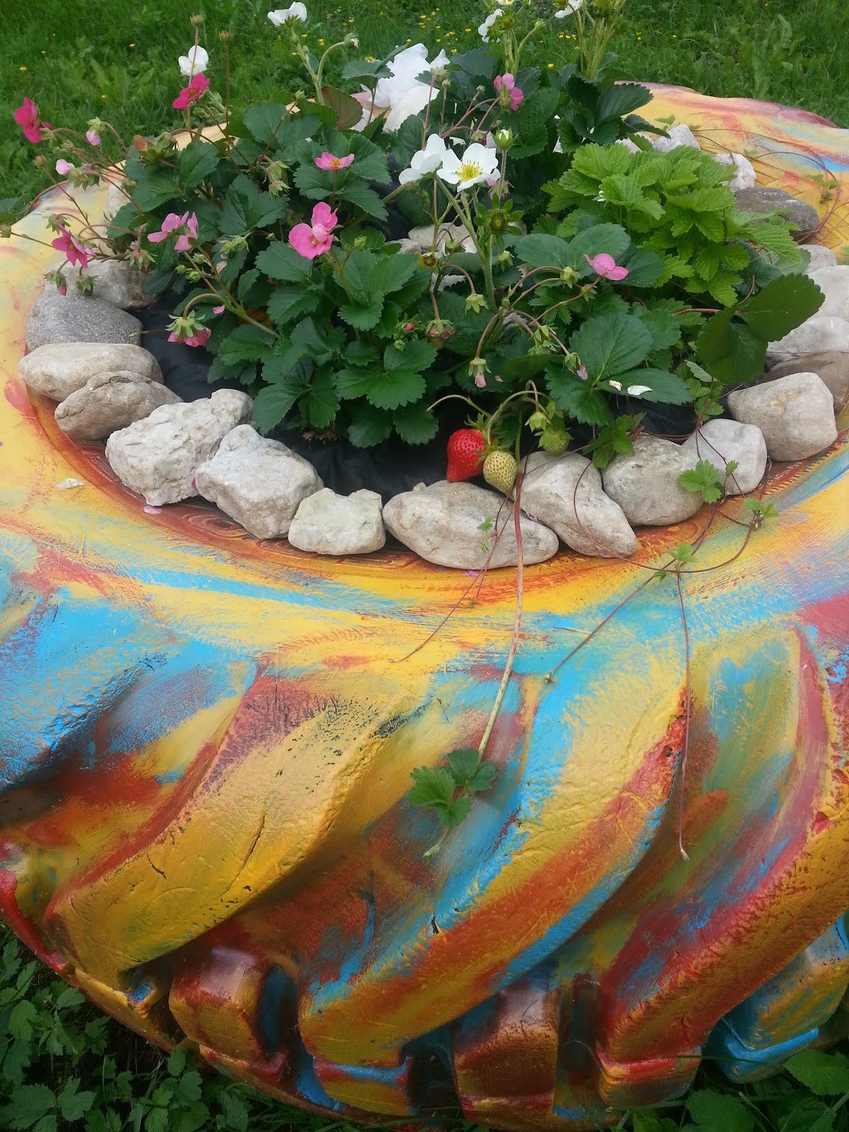 Maakad linnast - Meie uus algus: DIY - Amplimaasika peenar