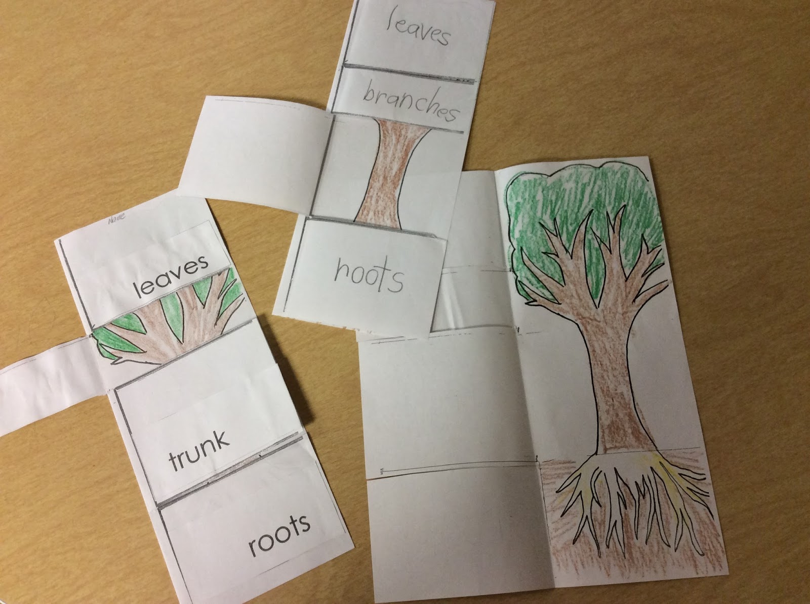 Kindergarten: Hand-in-hand we grow: Trees and seasons