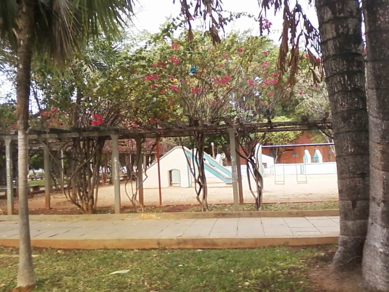 Blog das Novidades: Catolé-Do-Rocha Passa na Frente