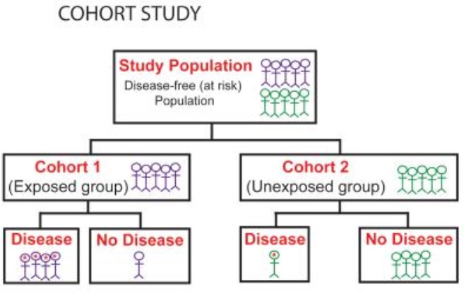 Big Fitness Project: Understanding Scientific Research [2 ...