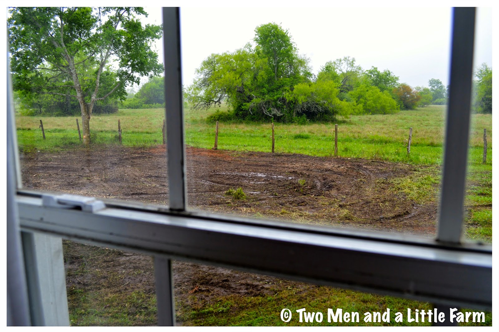 Two Men and a Little Farm: SUDDENLY A BIGGER YARD
