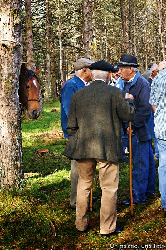 Un paseo,una foto: XXVII Feira do poldro e gando de monte. Muras (Lugo)