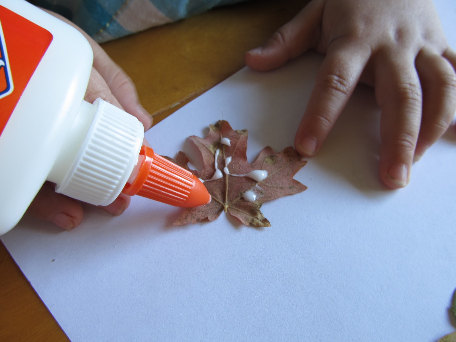 A Lott Of Ideas