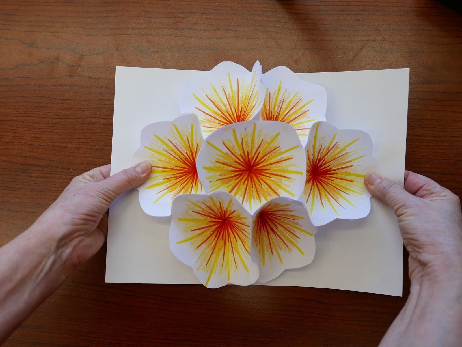 Paper Source USA: Beautiful Pop-Up Greeting Cards