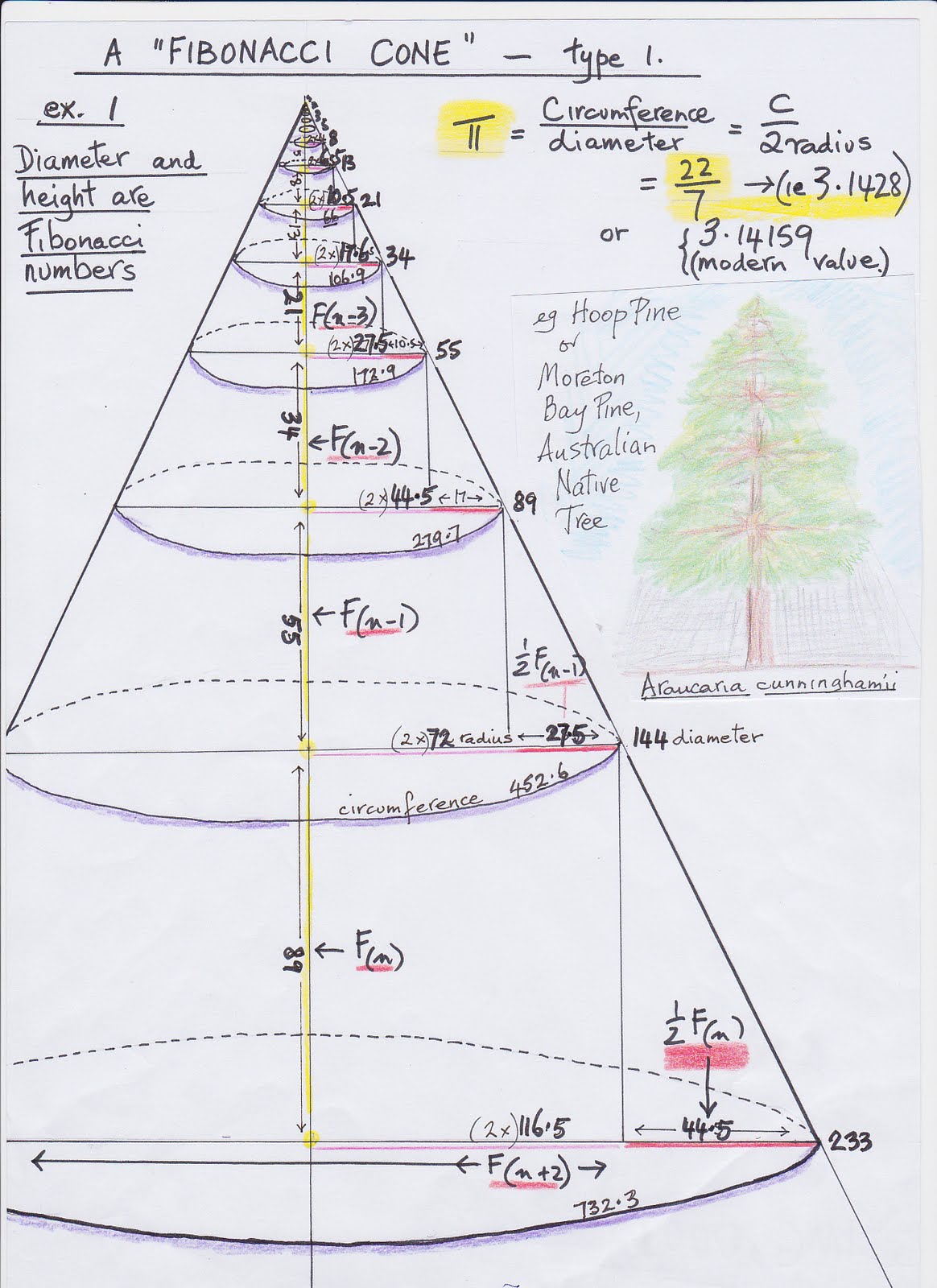 biomathcraft: Fibonacci Cones, Type 1.