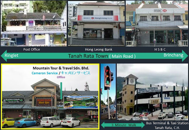 CAMERON SERVICE / MOUNTAIN TOUR & TRAVEL SDN. BHD.