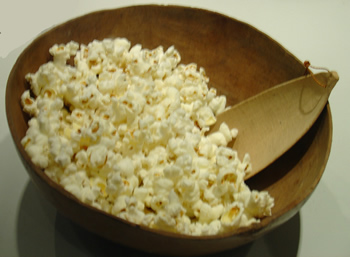 VISIÓN AGROECOLÓGICA: El Árbol de Totumo o Tapara complemento para los ...