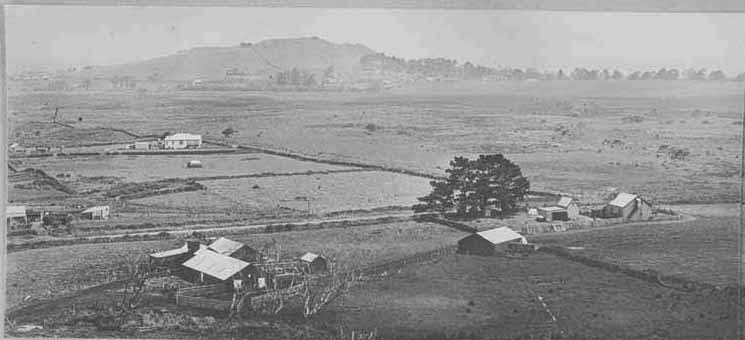 Timespanner: Puketapapa (Mount Roskill) Historical Society