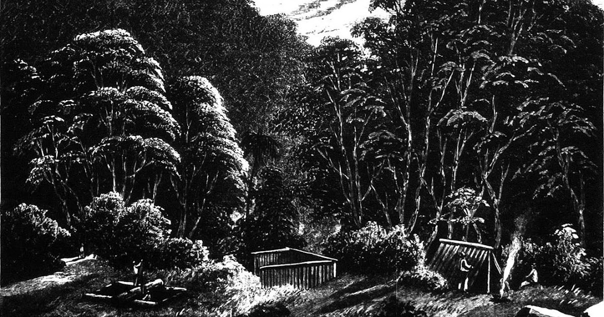 Robert Forrester, First Fleeter: Bullocks, not Bollocks