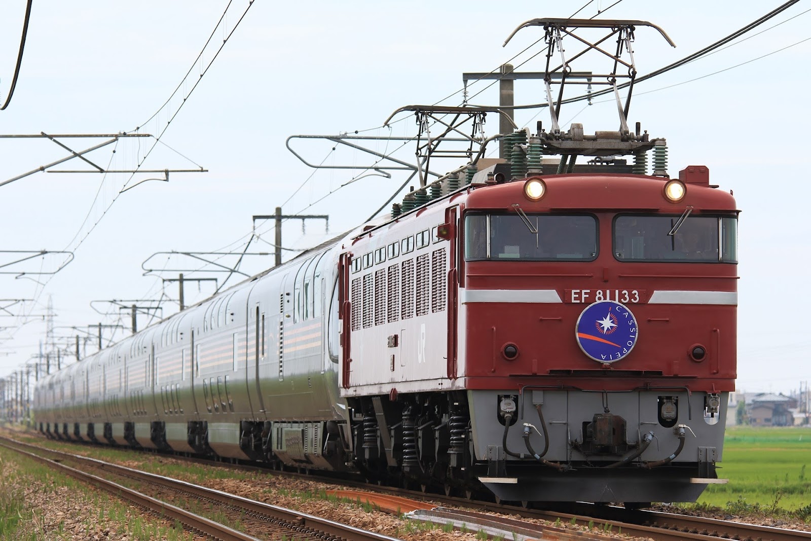 くじら23号の日記: 2016/07/02 カシオペアクルーズ（7月）ほか