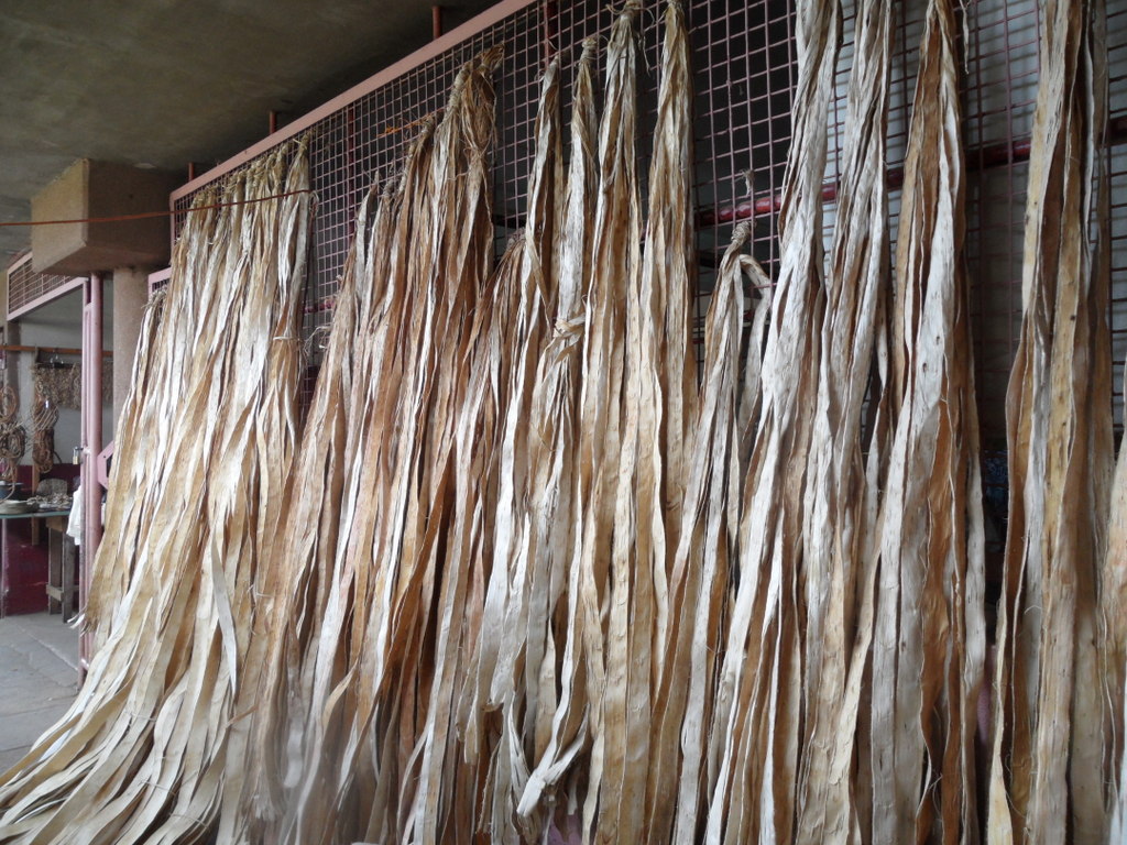 Adventures in the South Pacific: MAKING TAPA