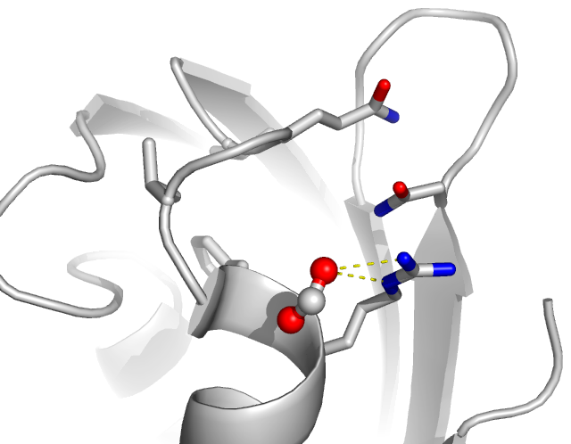 Paris A Tutorial On Using Pymol To Generate Publication Quality