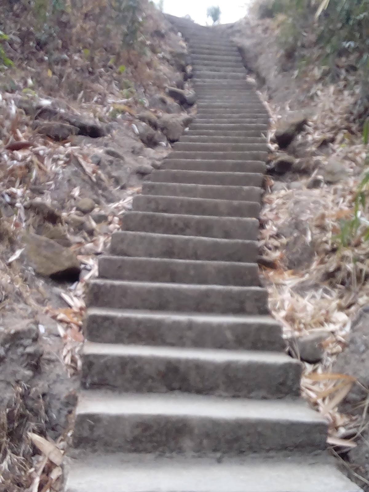 Tara...Let's go...: Discover Tangadan Falls, San Gabriel, La Union ...