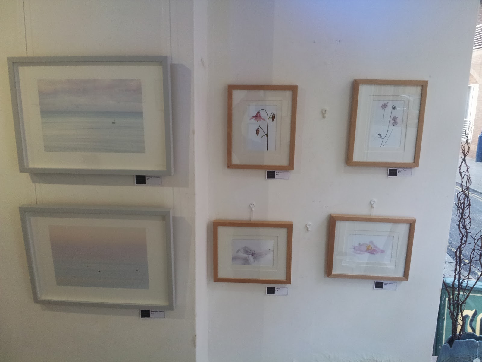 thanetonline: Cherry Larcombe Photographer Exhibition at The York ...