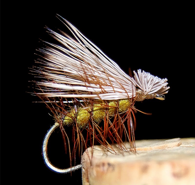 Fly Fishing In Yellowstone National Park: 08/01/2011 - 09/01/2011