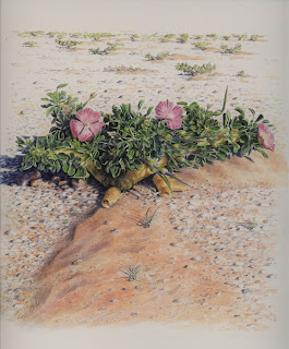 Gerhard Marx: Biography