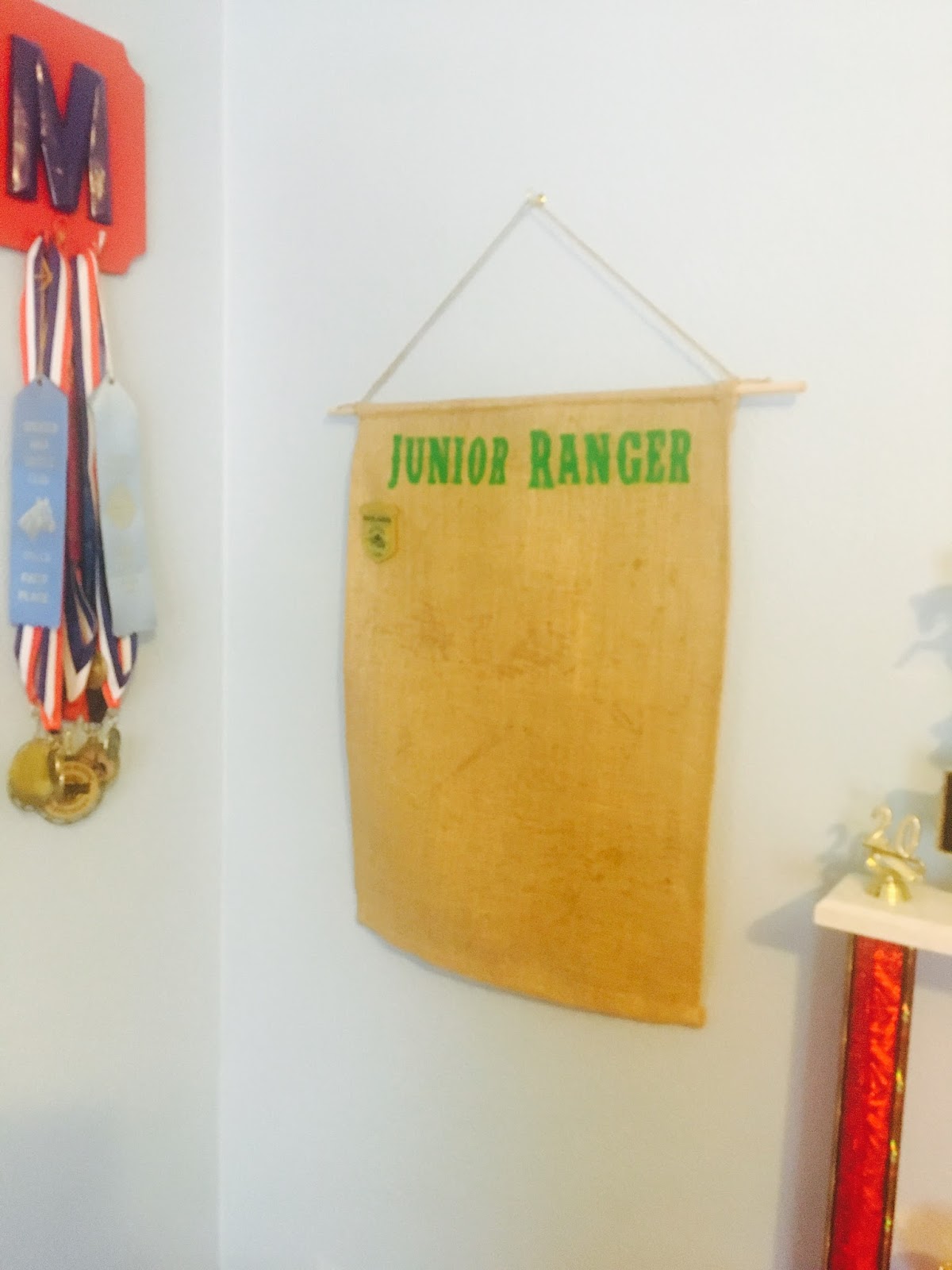 Junior Ranger Badge Display! - the farmer and the southern belle