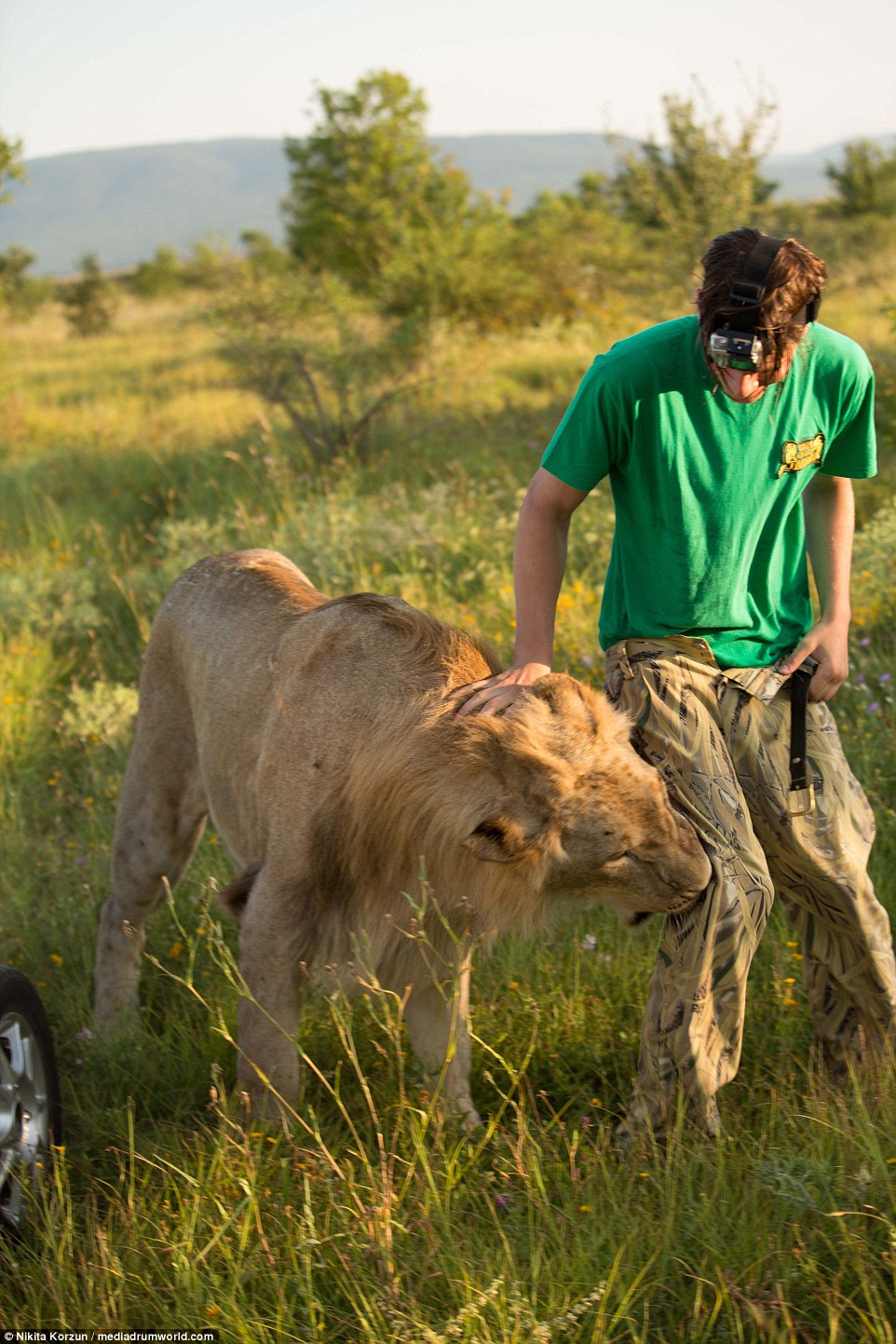 Блог Олега Зубкова: Incredibly friendly lions in Crimea