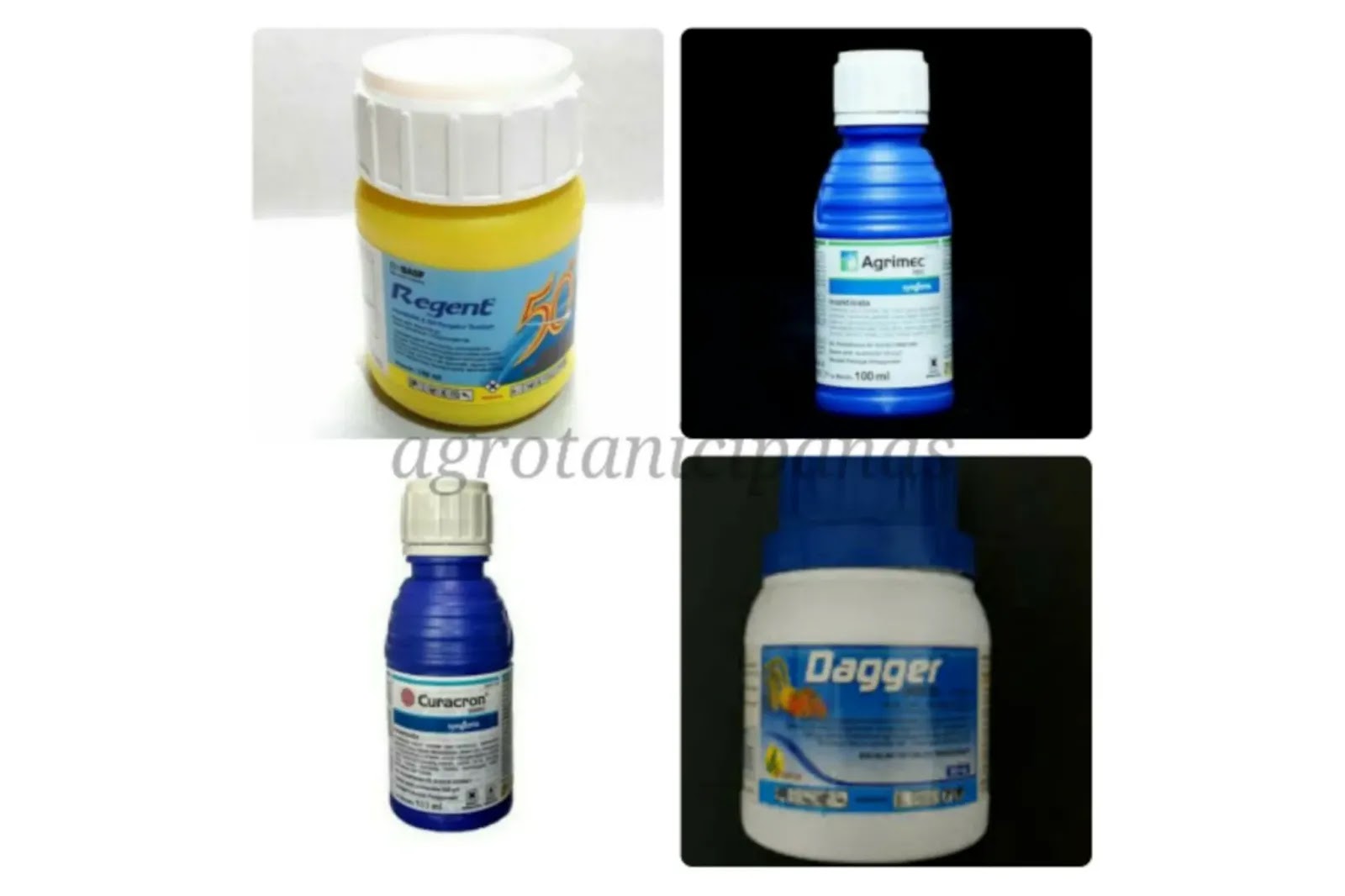 4 Bahan aktif Ampuh Mengendalikan/Membasmi Hama Thrips - Agrotani Cipanas