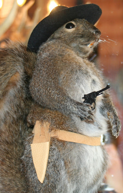 The Carpetbagger: Some of My Favorite Taxidermy