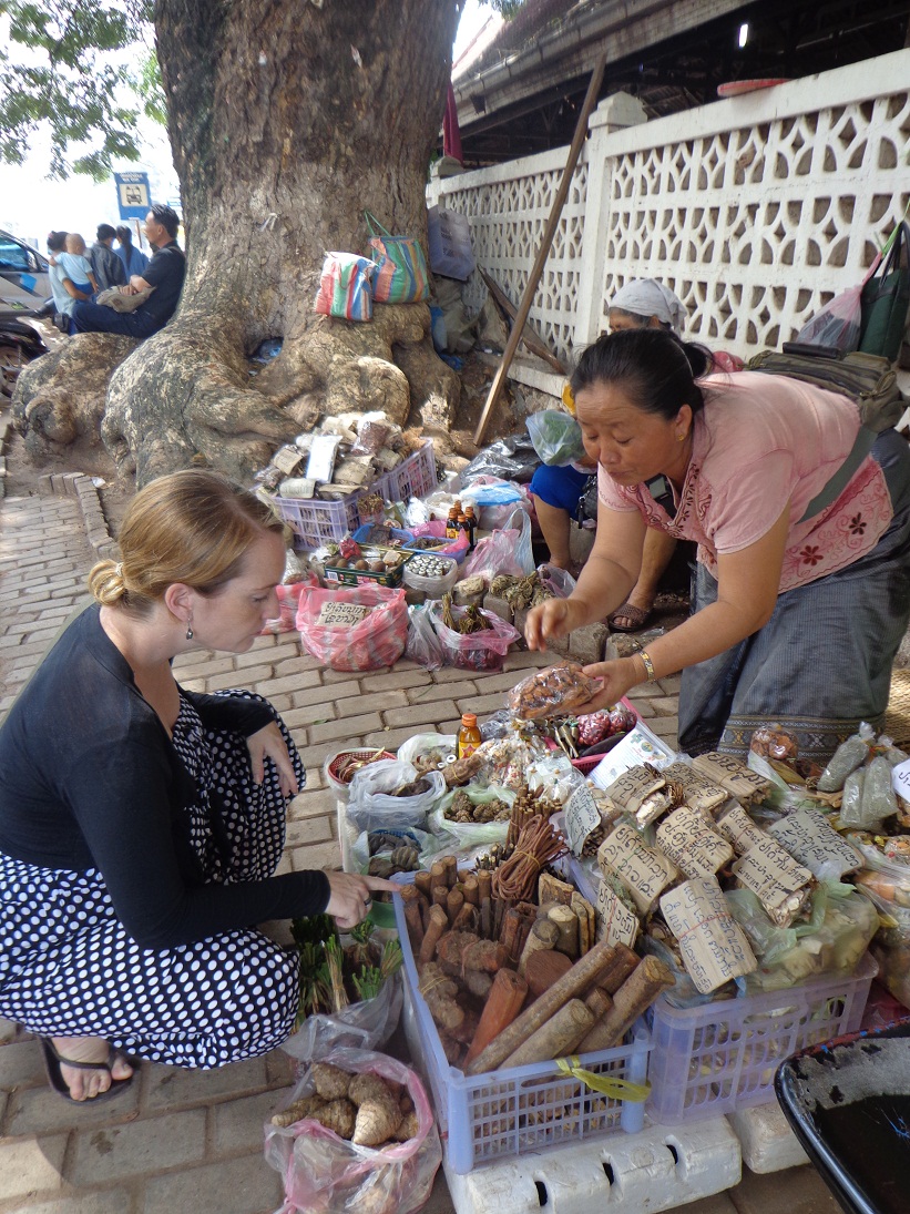 The Frog & The Moon: Pre-Natal Herbal Medicine - Hmong Style