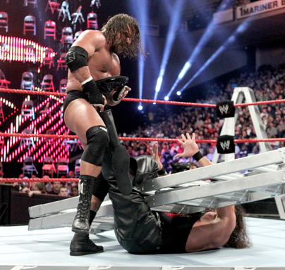 WORLD WRESTLING ENTERTAINMENT: WWE Triple H And Kevin Nash IN TLC