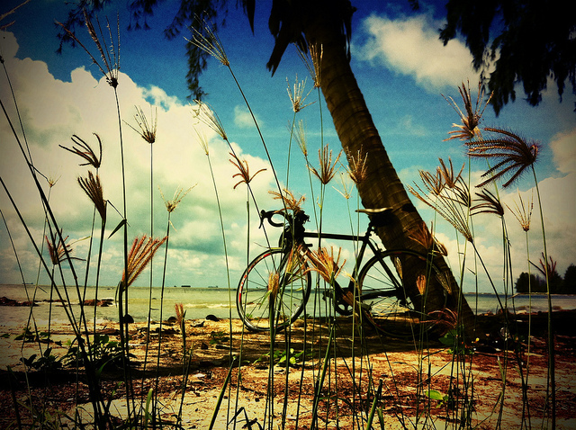 Lomo Photography Digital | PHOTOGRAPHY