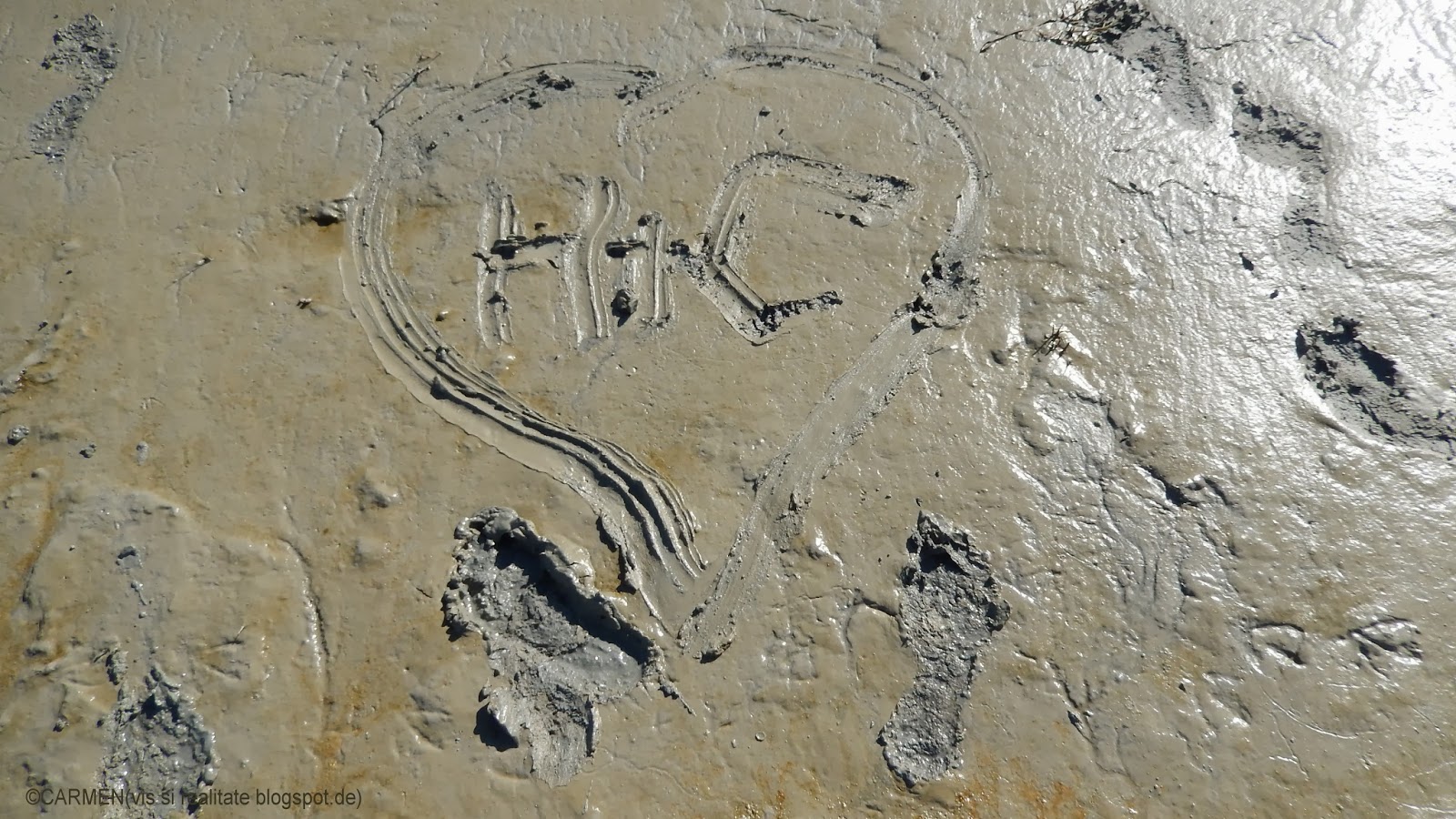 Între vis si realitate 2: Miercurea fara cuvinte (42) - Flux si reflux ...