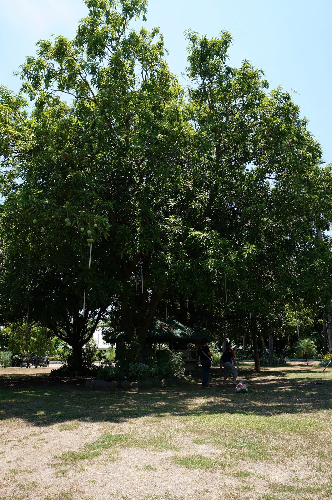 TRAVELS OF JOY: Little Bridge Beach Resort